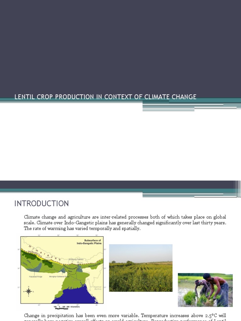 Lentil Crop Production in Context of Climate Change | PDF | Lentil ...