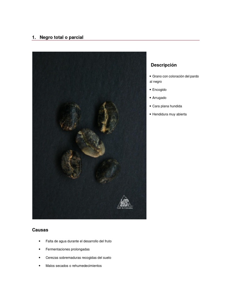 Defectos Del Cafe PDF | PDF | café | Naturaleza