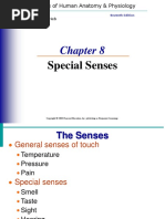 Anatomy - The Nervous System Powerpoint | PDF | Nervous System | Neuron