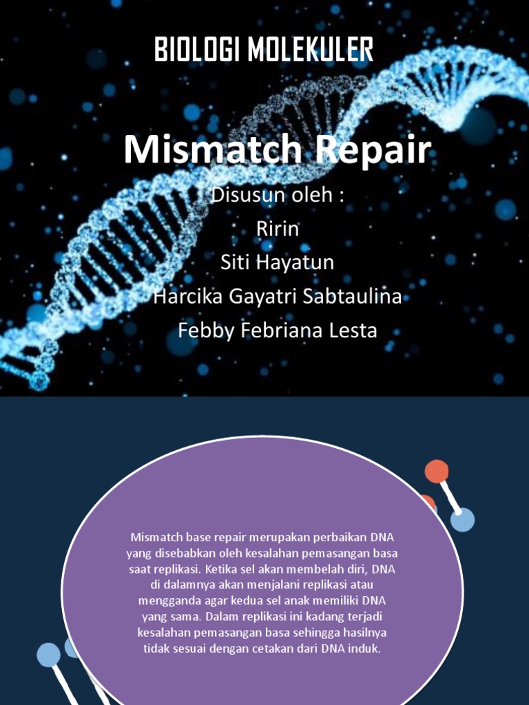 Mismatch Repair Fix | PDF