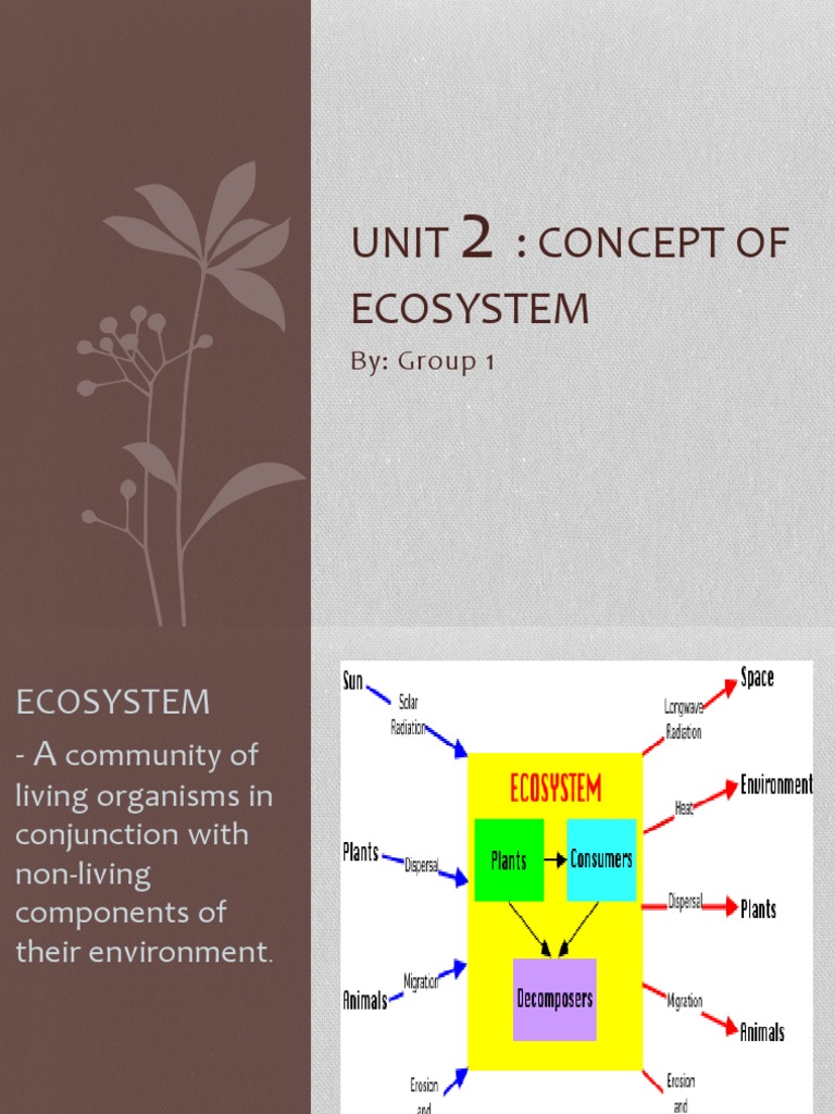The New PPT in Envi Sci | PDF | Ecosystem | Carbon Cycle