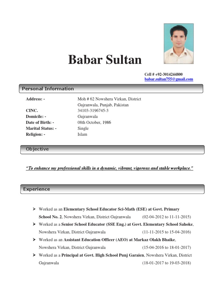Babar Sultan: Personal Information | PDF