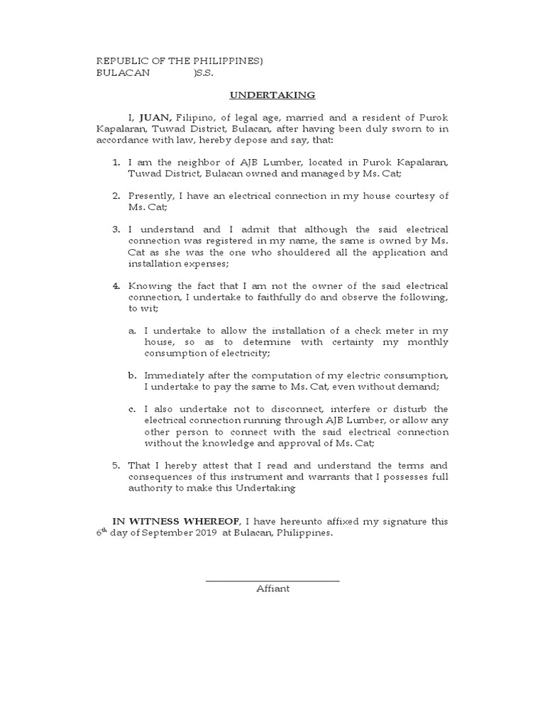 Undertaking Final Electrical Connection | PDF