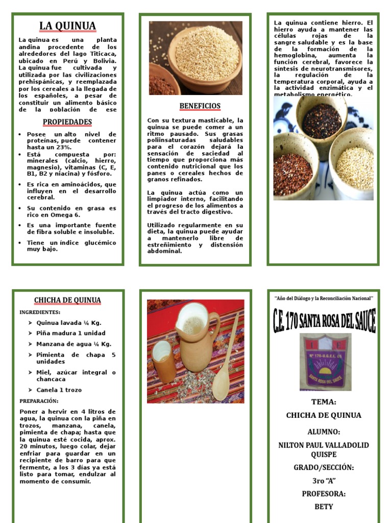 Triptico Chicha de Quinua | PDF | Quinua | Cereales