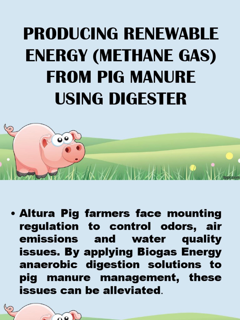 Producing Renewable Energy Methane Gas From | PDF