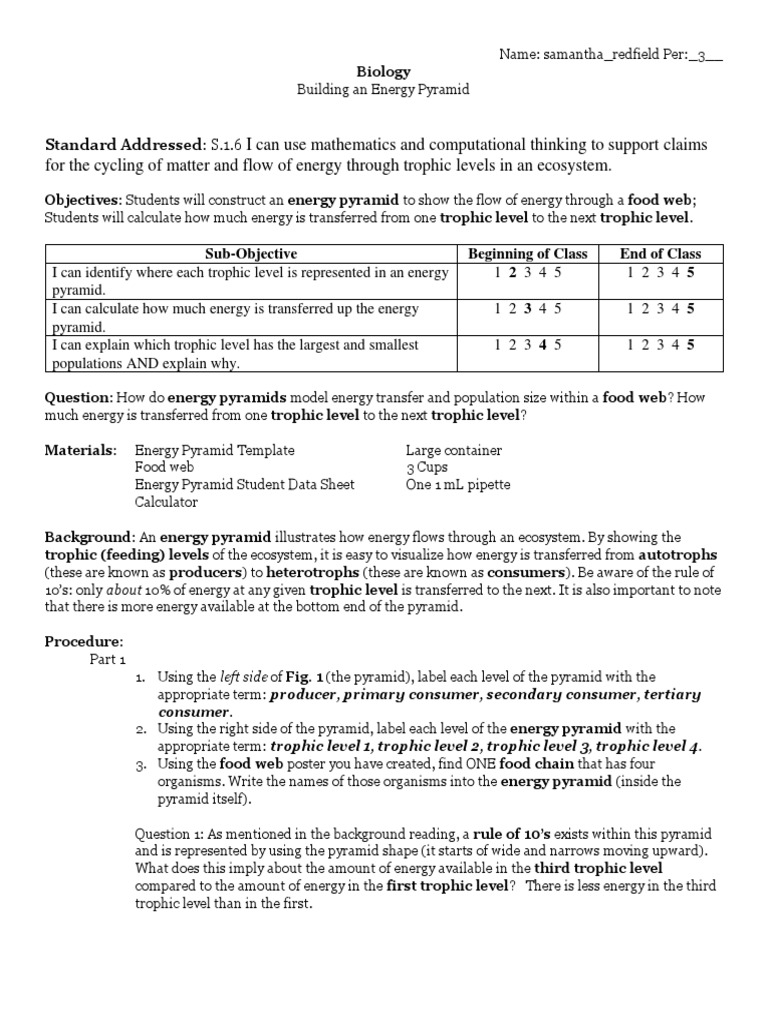 Energy Pyramid - Activity 2019-20sr | PDF | Food Web | Environmental ...