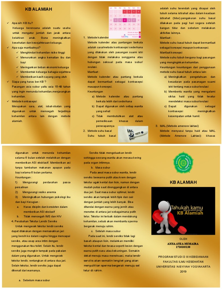 Leaflet Gizi KB ALAMIAH | PDF | Kesehatan Holistik