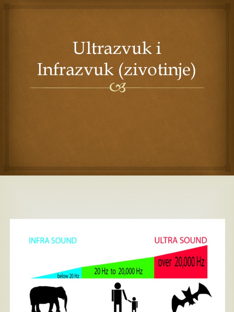 Ultrazvuk I Infrazvuk (Zivotinje) | PDF