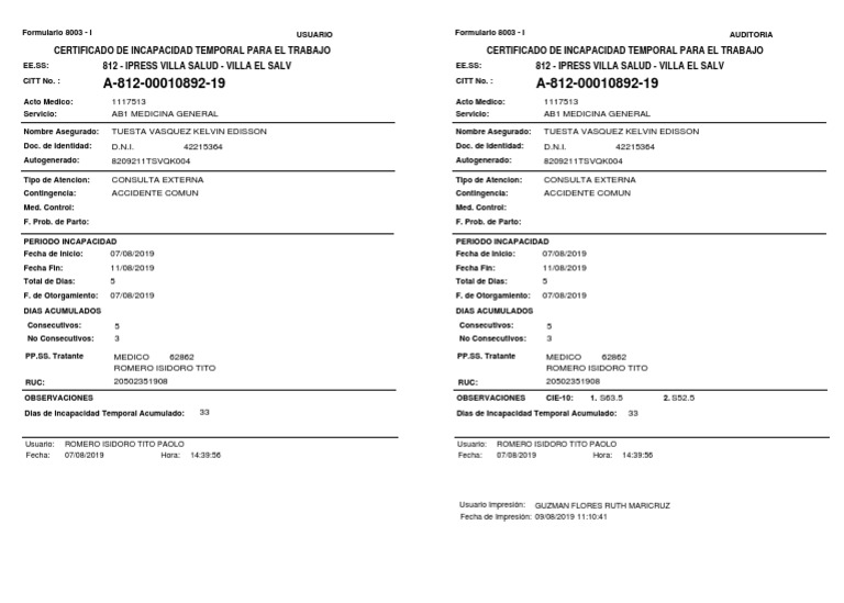 Modelo Citt | PDF | Cuidado de la salud | Medicina