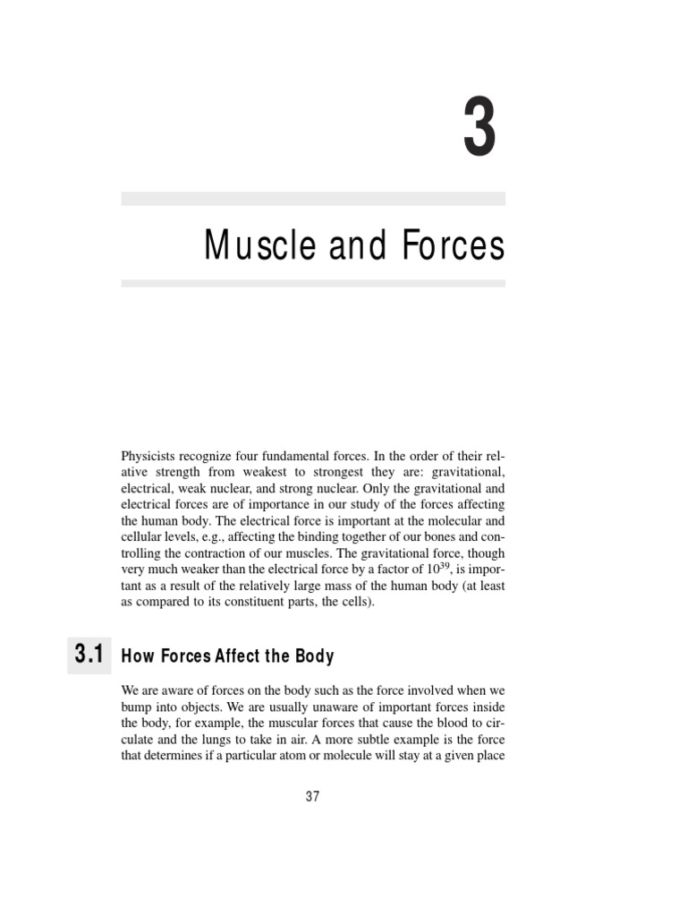 Forces in Body | PDF | Vertebral Column | Muscle Contraction