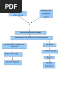 IVF Color Coding | PDF