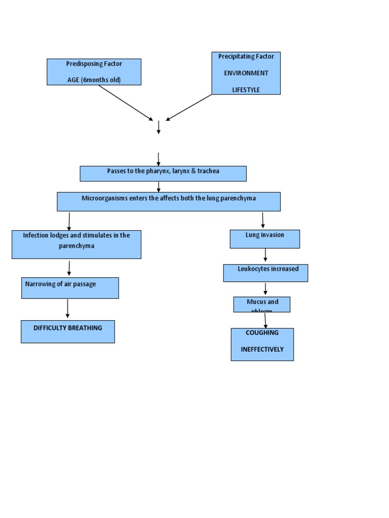 Pcap Pathophysiology PDF | PDF | Respiratory Tract | Lung