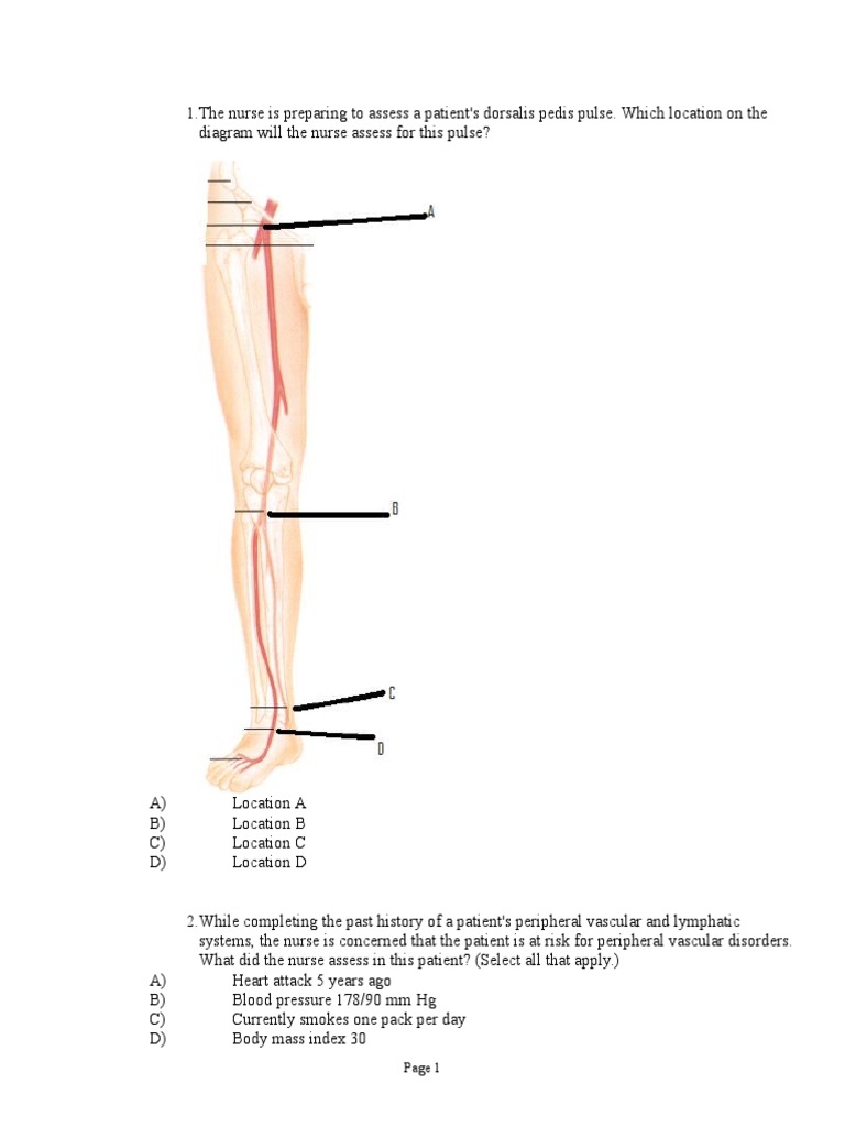 Chapter 15 The Peripheral Vascular System and Lymphatic System | PDF ...