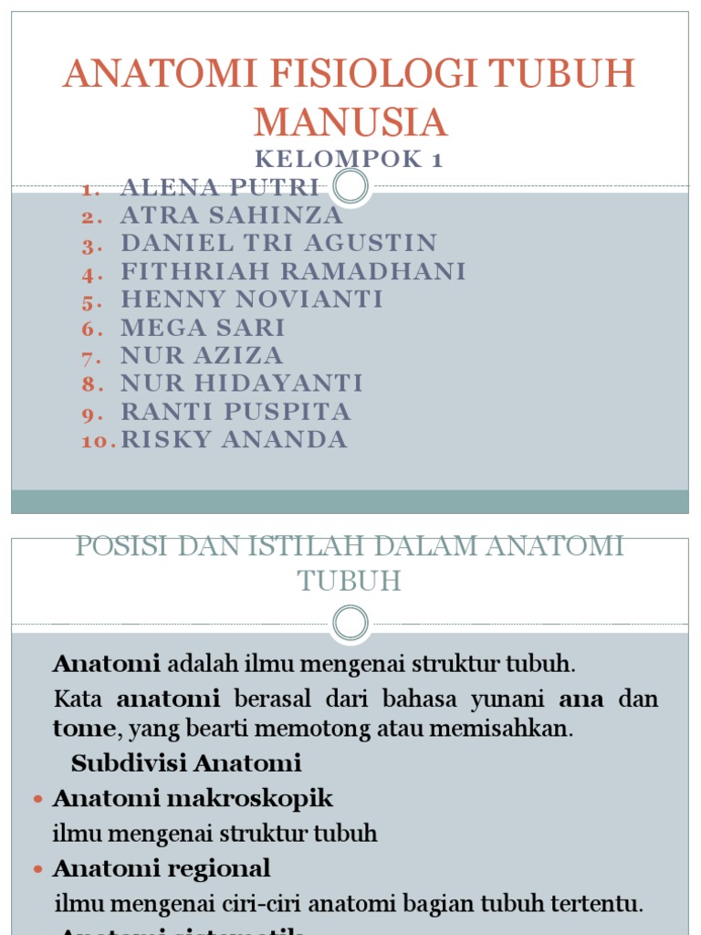 Anatomi Fisiologi Tubuh Manusia | PDF