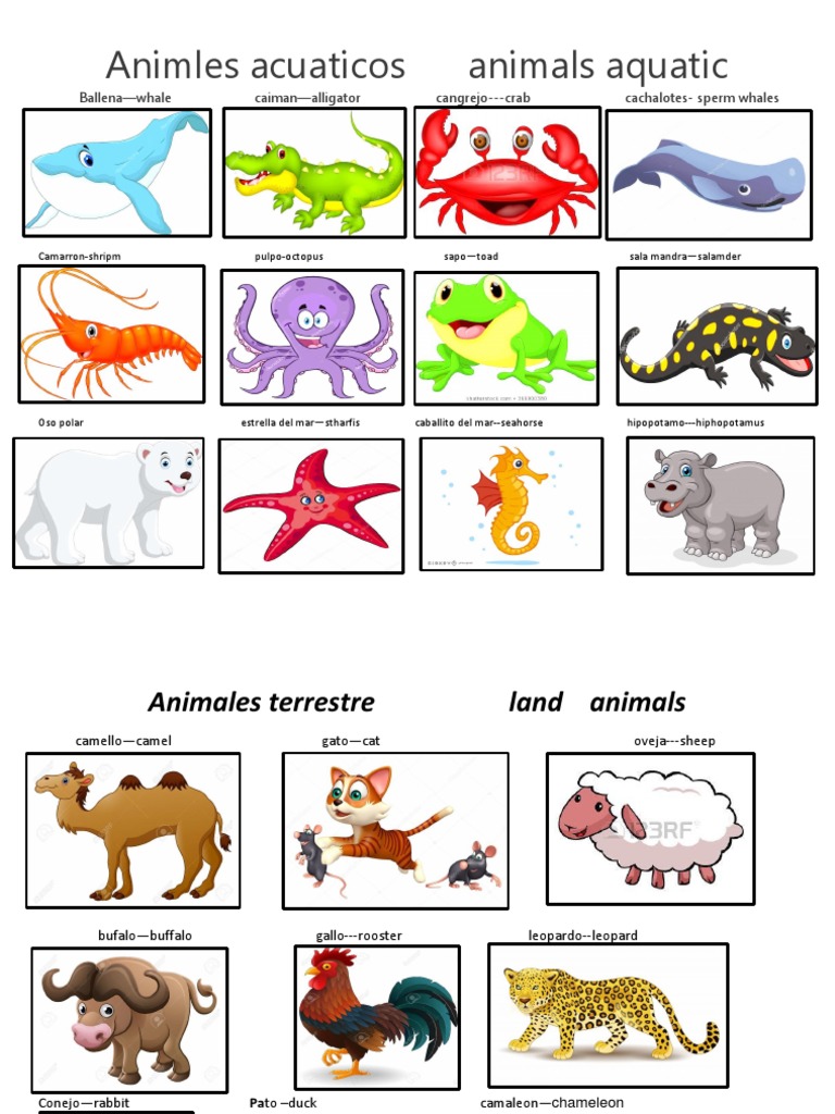 Animales Acuaticos 3 Pdf