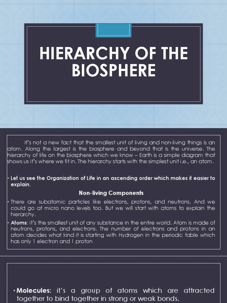 Hierarchy of The Biosphere - Opusa | PDF | Ecosystem | Life