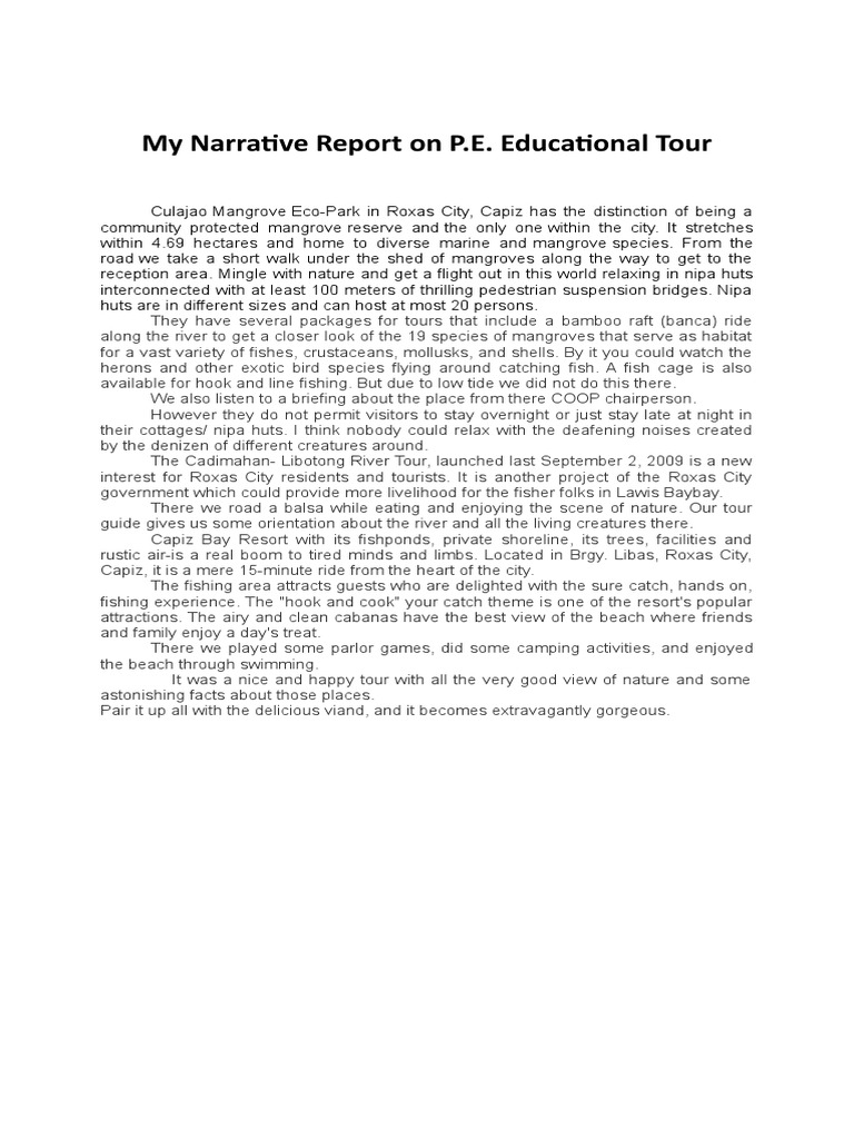 My Narrative Report | PDF | Narrative | Essays