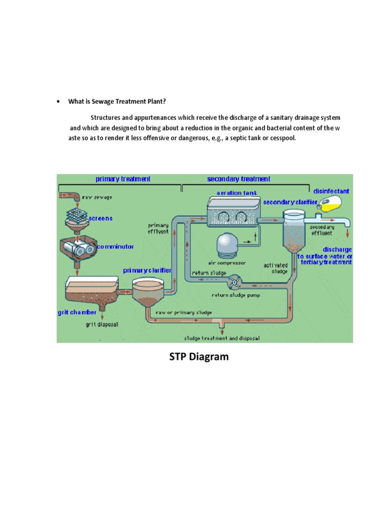 STP Diagram: What Is Sewage Treatment Plant? | PDF