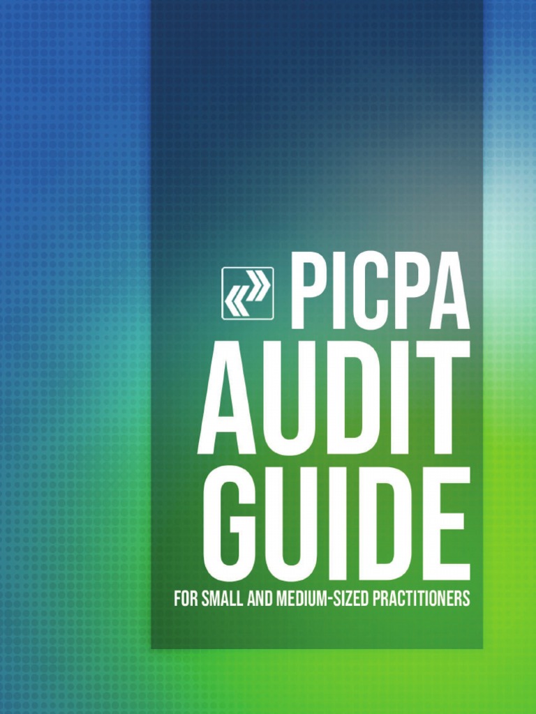 Audit Manual Part1 | PDF | Internal Control | Financial Audit