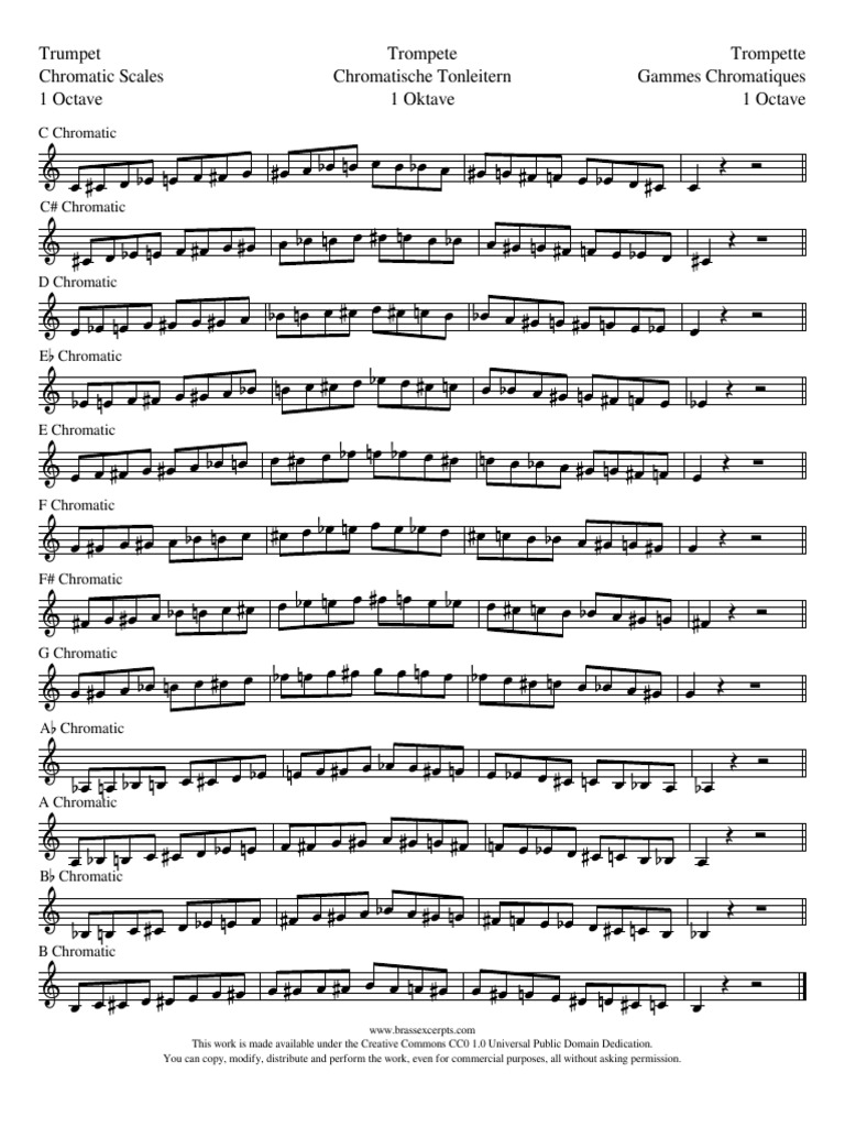 Trumpet Chromatic Scales 1 Octave Trompete Chromatische Tonleitern 1 ...
