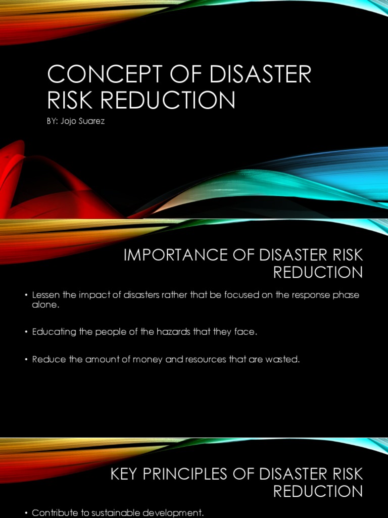 Disaster Risk Reduction Principles and Practices | PDF | Disaster Risk ...