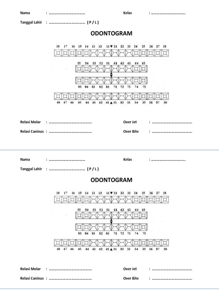 Odontogram Patient Record Template | PDF