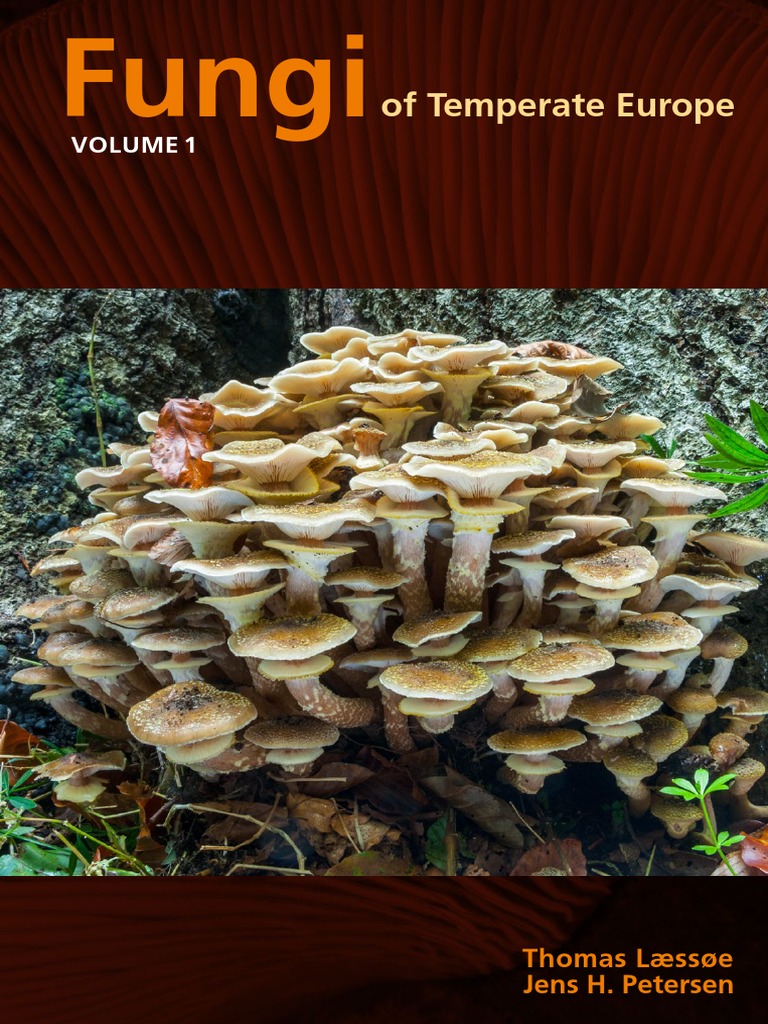 FungiOfTemperateEuropePresentation PDF | PDF | Fungus | Mushroom Types