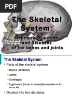 Skeletal System Lecture Notes PDF | PDF | Osteoblast | Bone