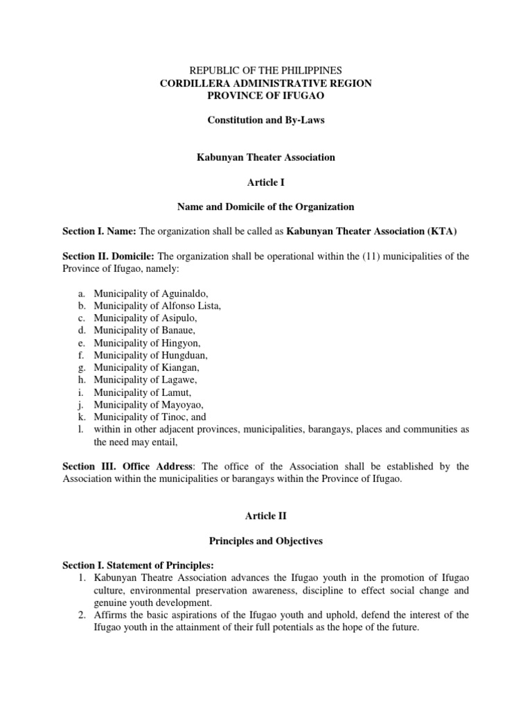 Constitution and by Laws SAMPLE | PDF | Chairman | Board Of Directors