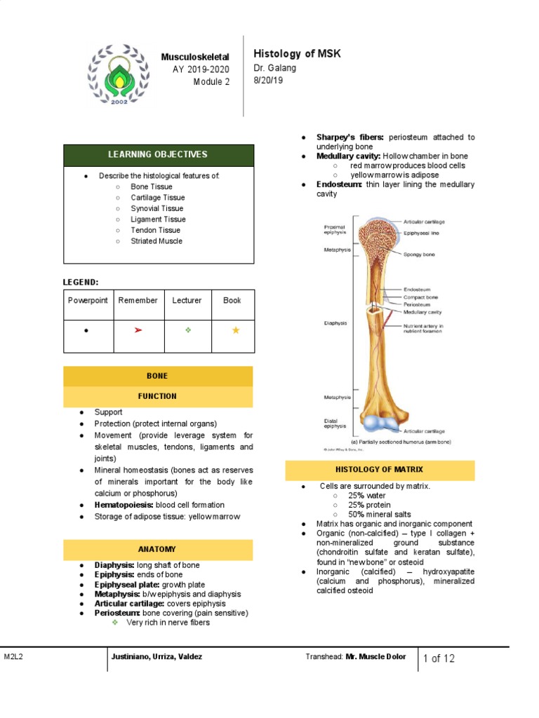 Histology of MSK: Learning Objectives | PDF | Cartilage | Bone