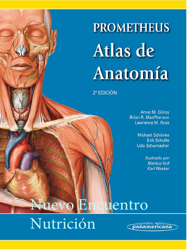 Prometheus - Atlas de Anatomia.pdf