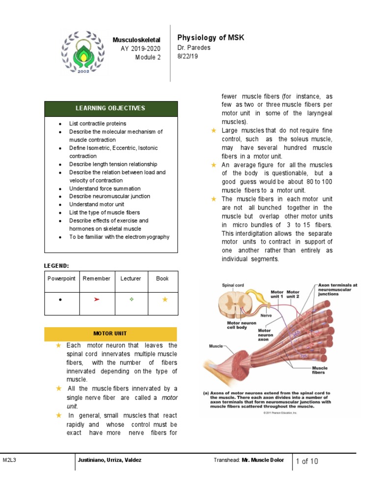 Physiology of MSK: Learning Objectives | PDF | Muscle Contraction ...