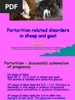 Goat and Sheep Reproductive System | PDF | Reproductive System ...