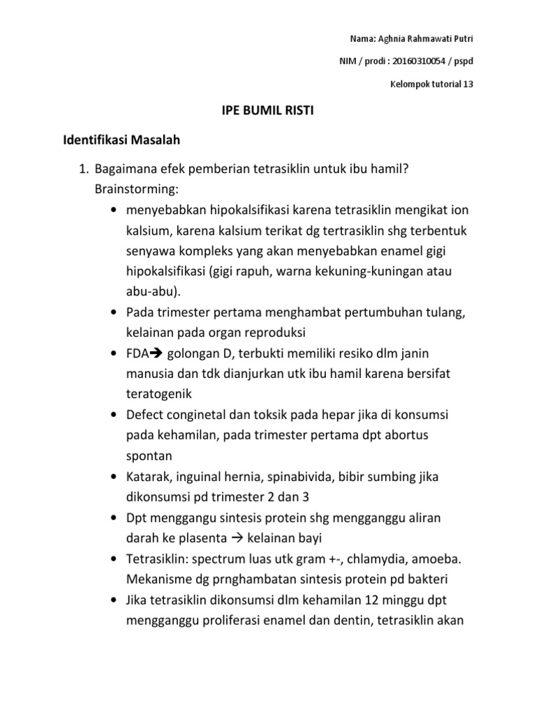 Ipe Bumil Risti | PDF