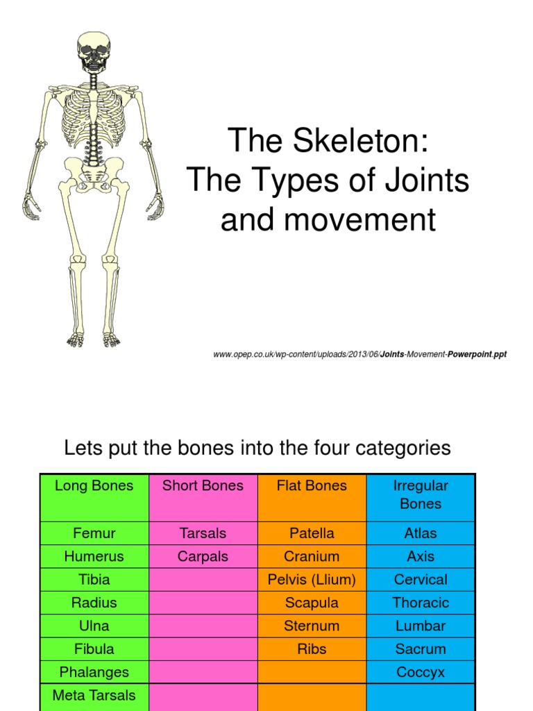 Types of Joints and Movements Explained | PDF | Anatomical Terms Of ...