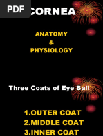 CCLRU Grading | PDF | Social Science