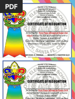 BSP Certificate of Recognition | PDF