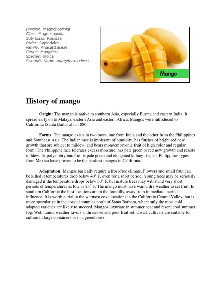 Aldrin | PDF | Mango | Plants