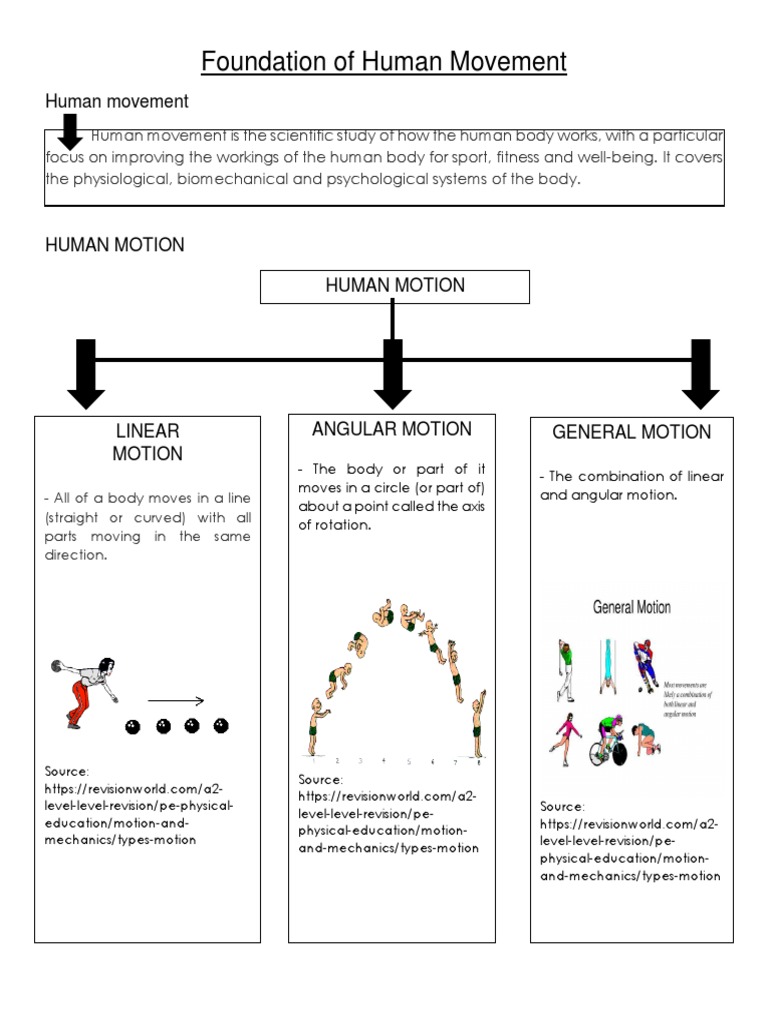 Foundation of Human Movement | PDF | Anatomical Terms Of Motion ...