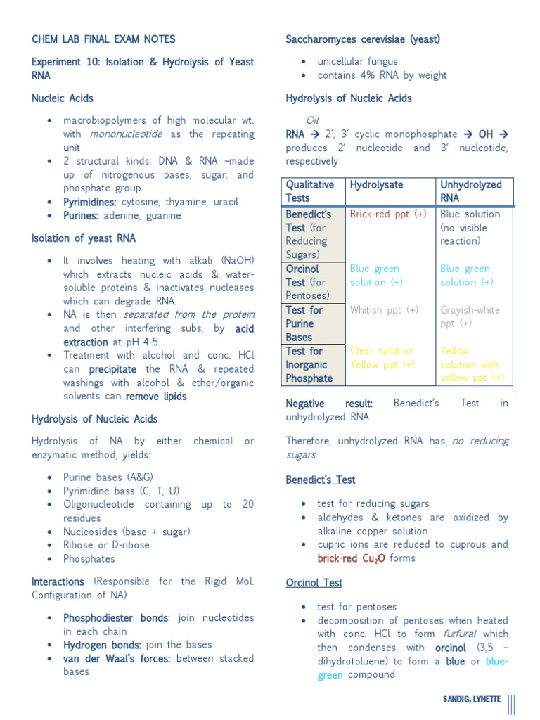Chem Lab Final Exam Notes 2 | PDF | Nucleotides | Digestion