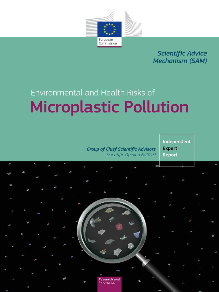 Microplastic Pollution | PDF | Pollution | Ecology