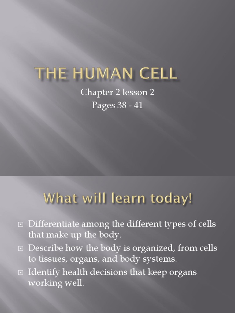 Understanding Body Cells and Systems | PDF | Human Body | Bone