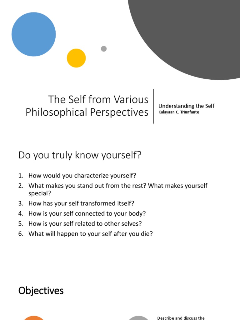 Philosophical Perspectives on the Self | PDF | Philosophy Of Self | Soul