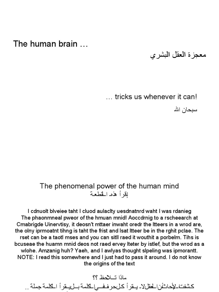Human Brain Miracles | PDF