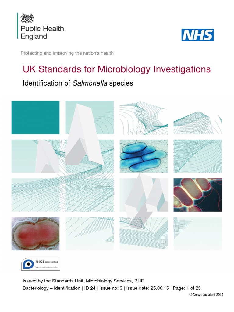 Identification of Salmonella Species PDF | PDF | Salmonella | Serotype