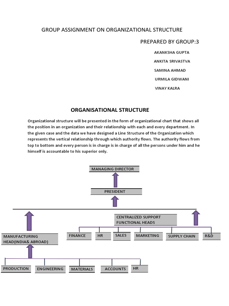 A Line of Authority: Analyzing the Vertical Organizational Structure of ...