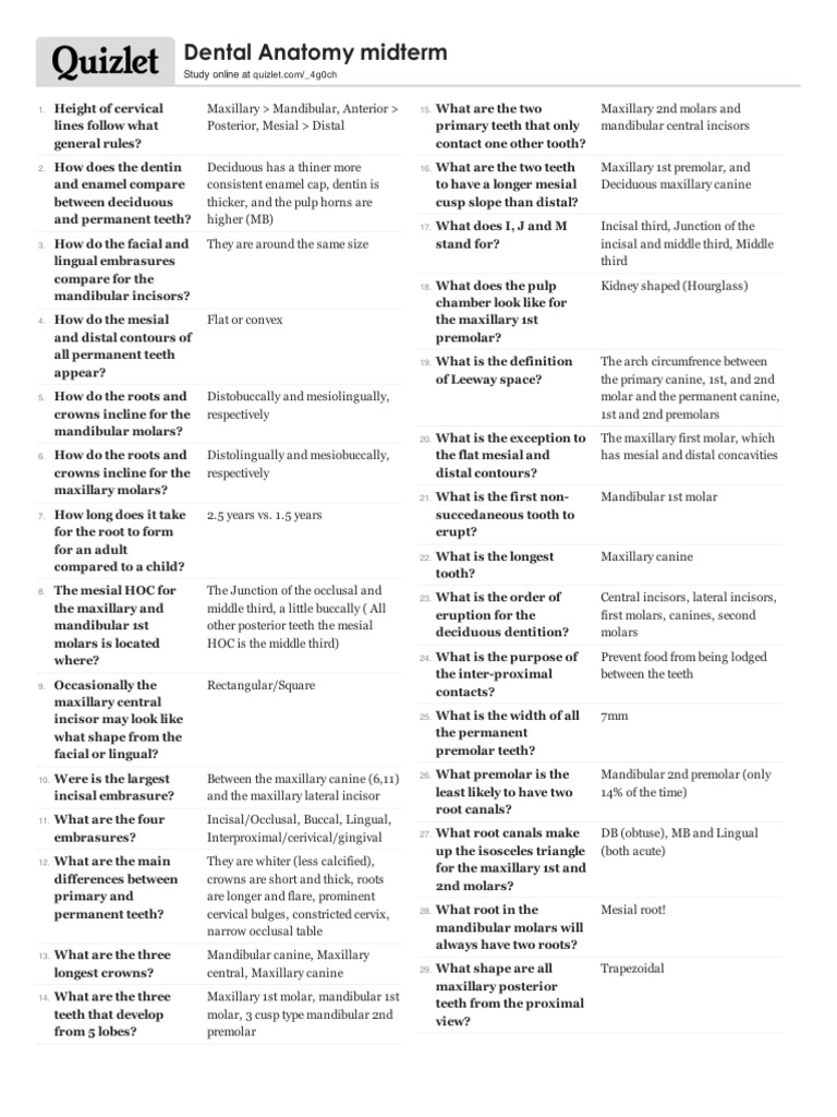 Oral Anatomy | PDF | Dental Anatomy | Animal Anatomy