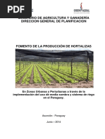 Produccion de Locote | PDF | Pimiento | Suelo