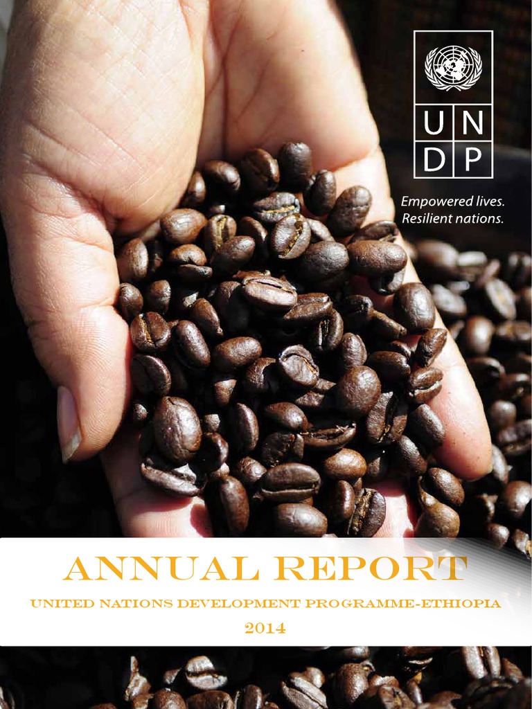 Annual Report 2015 Final Final For Web | PDF | Millennium Development ...