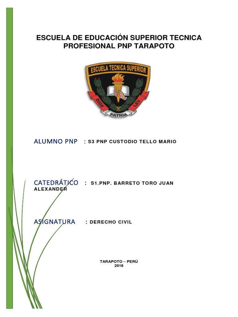 s3 PNP Custodio Tello Mario - I Trabajo Individual de Derecho Civil ...